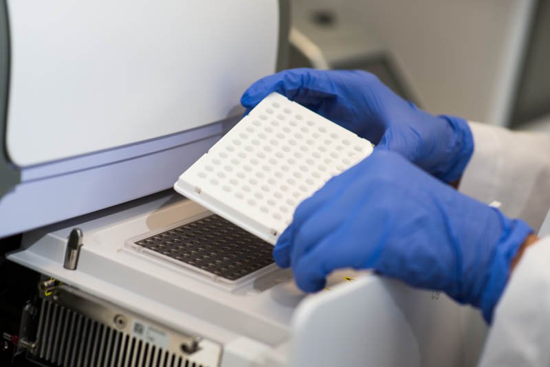 Repairing damaged eye tissue in AMD: steps towards the Holy Grail!