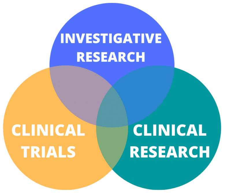 Research Purpose & Themes | Queensland Eye Institute